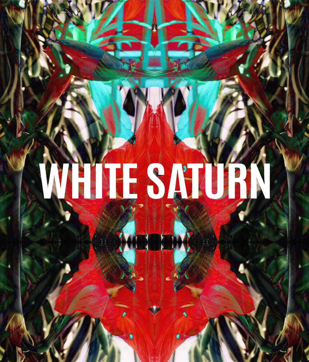 About Us – White Saturn